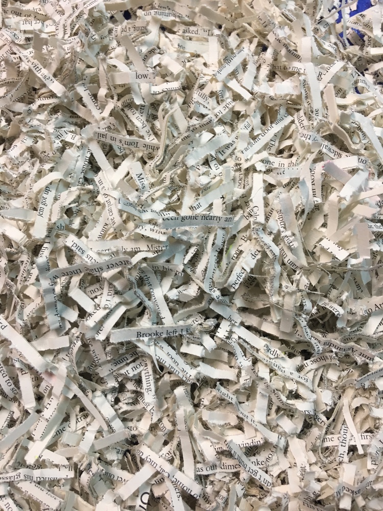 BANNED BOOK...SHREDDED!!! | Marion High School